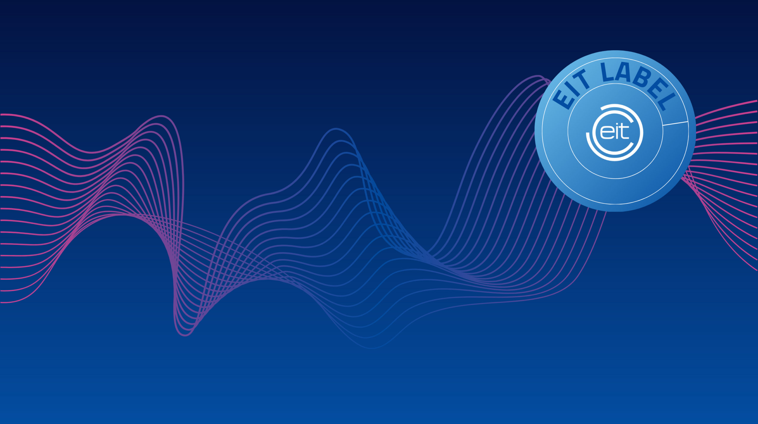 Certified Innovation Path: High Value Care | EIT Health